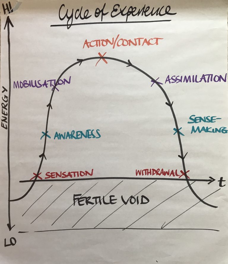 The cycle of experience - Lucy Ball