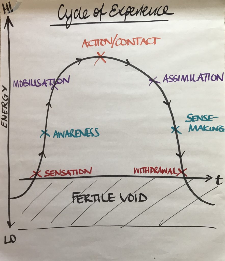 The cycle of experience - Lucy Ball